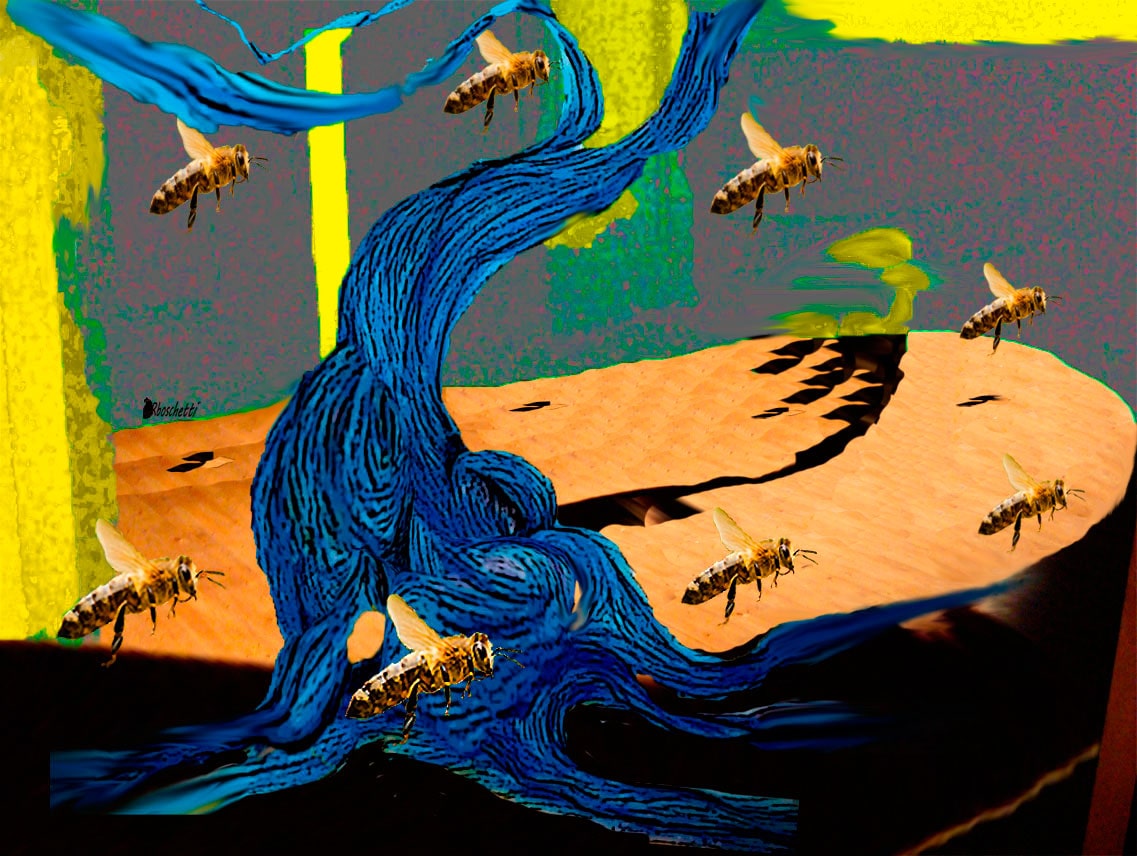 Apis Apidae: la danza de la vida – Rosa Boschetti